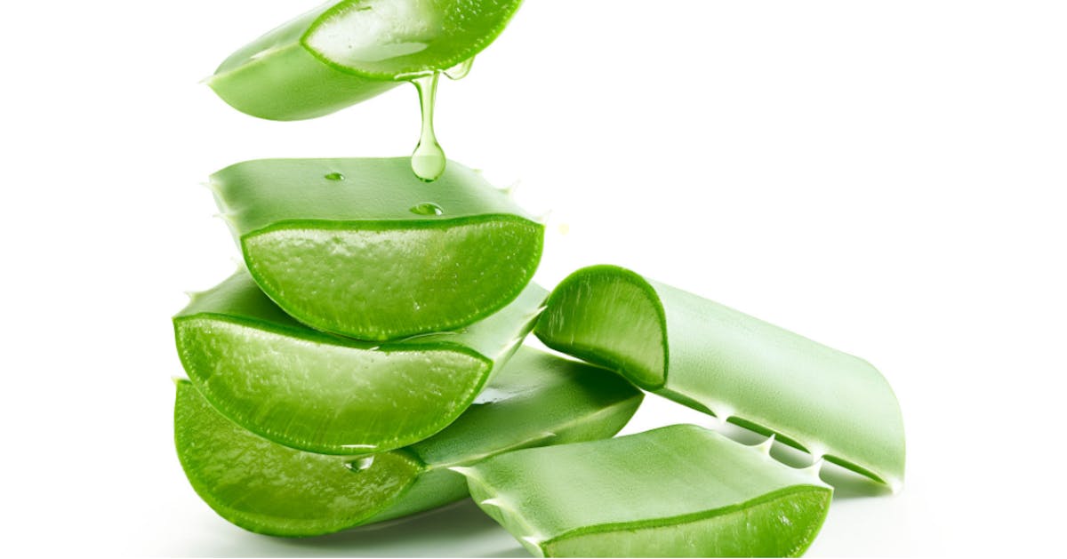 Harnessing The Power Of Aloe Vera For Sunburn Relief Medino
